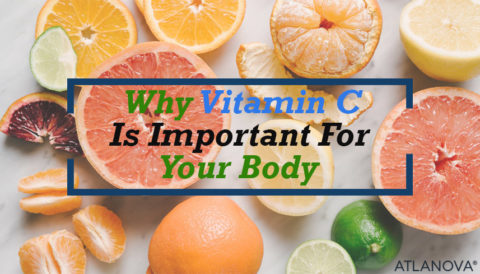 Why Vitamin C is Important for Your Body? - ATLANOVA
